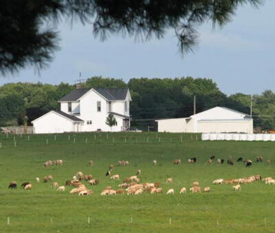 Bay Tree Farm – 180 acre farm north of Emlenton
